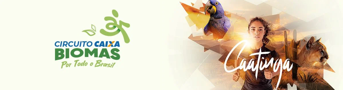 Descrição Regulamento